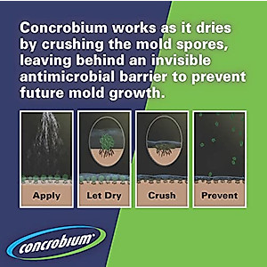 Concrobium 25001 Mold Control Jug, Gallon