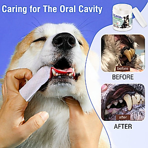 Havenfly Pet Teeth Cleaning Finger Wipes for Dogs & Cats, Dog Dental Wipes for Removing Plaque and Tartar Buildup, No-Rinse Disposable Gentle Cleaning & Gum Care Pet Wipes, 50 Counts