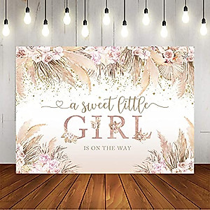 Mocsicka Boho Hello Baby Backdrop Boho Chic Pink Flowers Baby Shower Background Vinyl A Sweet Little Girl is on The Way Party Cake Table Decorations Photo Booth (7x5ft)