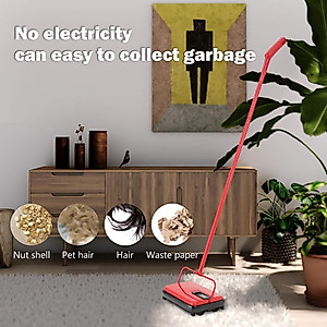 Eyliden Carpet Sweeper, Mini Size Lightweight Hand Push Carpet Sweepers - No Noise, Non-Electric - Easy Manual Sweeping, Automatic Compact Broom Only for Carpet Cleaning