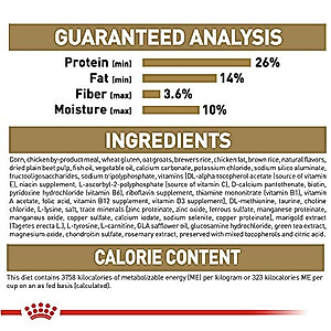 Royal Canin Chihuahua Adult Dry Dog Food, 2.5 lb bag