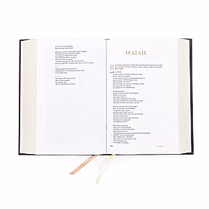 CSB Adorned Bible, Charcoal Cloth-Over-Board, Black letter, Elegant Design, Gustave Doré, Illustrations, Single-Column, Wide-Margins, Easy-to-Read Bible Serif Type