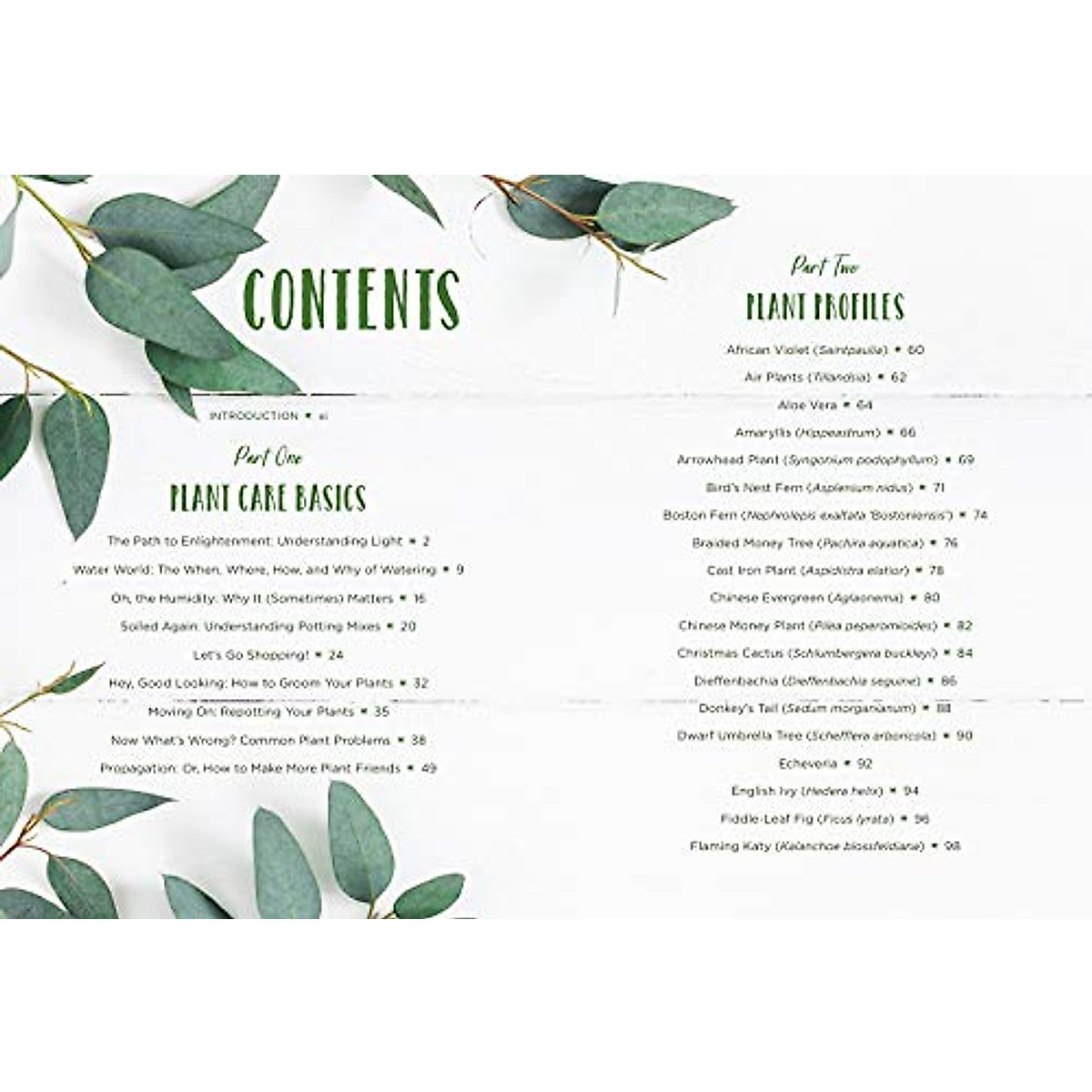 How to Houseplant: A Beginner’s Guide to Making and Keeping Plant Friends