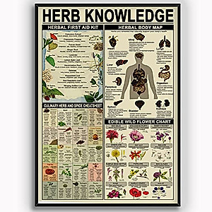 Herb Knowledge Metal Tin Signs Herbal First Aid Kit Infographic Poster Pharmacist Study Guide Tin Plaque Home Pharmacy Office Kitchen Wall Decor 8x12 Inches