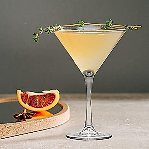 Amazing Abby - Vesper - 10-Ounce Plastic Martini Glasses (Set of 6), Plastic Cocktail Glasses, Reusable, BPA-Free, Shatter-Proof, Dishwasher-Safe, Perfect for Poolside, Outdoors, Camping, and More