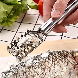 Fish Scaler,Stainless Steel Brush Fish Scaler Remover Easily Remove Fish Scales,Cleaning Brush Scraper Kitchen Tool
