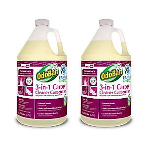 OdoBan Professional Series Cleaning 3-in-1 Carpet Cleaner Concentrate, Set of 2, 1 Gallon Each
