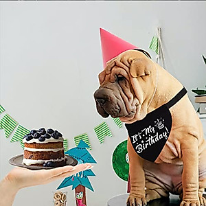 Dog Birthday Party Supplies Birthday Boy Dog Bandana Black Its My Birthday Dog Bandana for Small Medium Large Dogs Pets Outfits