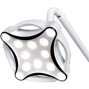 EustomA 30W LED Shadowless Light Mobile Type Portable Auxiliary Floor Lamp LED Cold Lamp with 12PCS High Power Light Sources