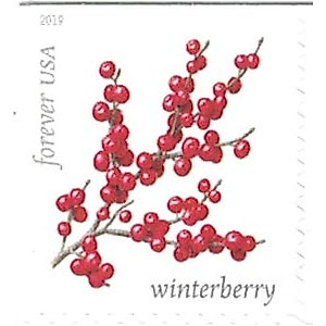 Winter Berries Book of 20 First Class US Postage Stamps Wedding Celebrate Engagement (20 Stamps)