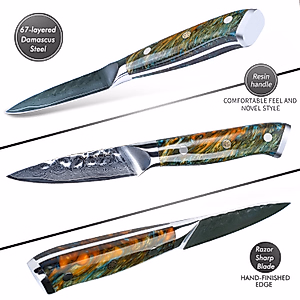 SANMUZUO 3.5 Inch Paring Knife - Fruit and Vegetable Peeling Knives, Forged Damascus Steel & Resin Handle - Yao Series