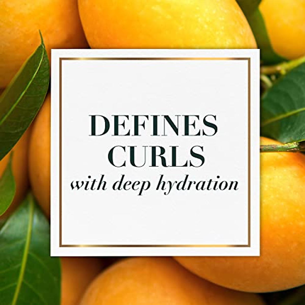 Herbal Essences Bio: Renew Potent Aloe + Mango Conditioner for Curly Hair 13.5 Fl Oz, 5.523 Fl Oz