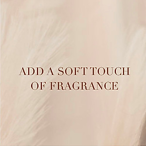 Tuscan Honey Scented Talc-Free Body Powder, Perfumed Dusting Powder, Camille Beckman, 3 Ounce