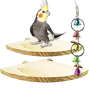 2 Pieces Bird Perches Bird Platform Perch with Pet Toys Bird Cage Accessories Parrot Perch Bird Rest Platform and Training Toy for Parakeet Gerbil Cockatiel Budgie Rat Mouse Chinchilla Hamster