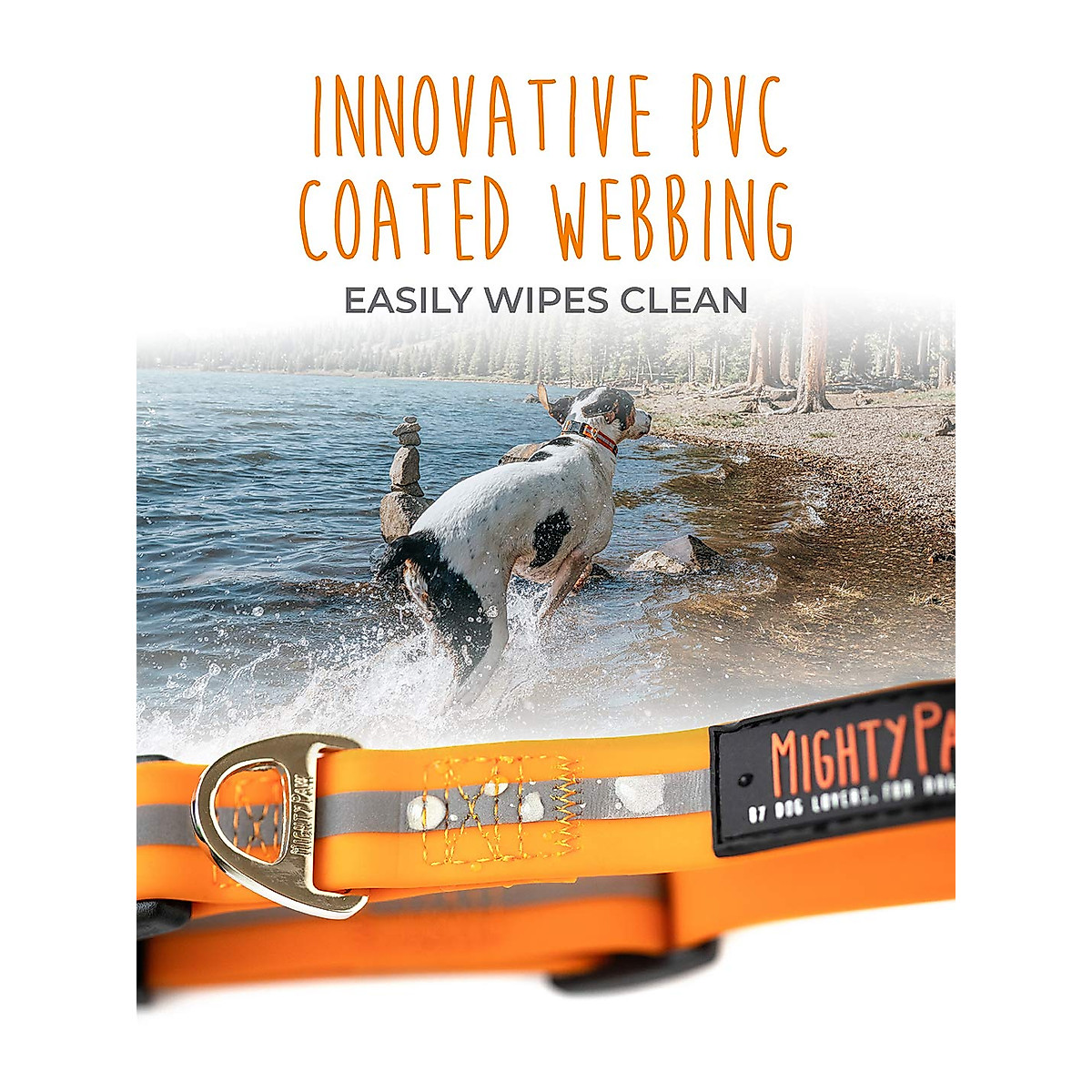 Mighty Paw Waterproof Dog Collar - Smell-Proof Active Gear - Reflective Stripe Coated Nylon Webbing - Dog Swim Collar - Smell Resistant Dog Collar - Dog Collar for All Dog Breeds - (Orange, Medium)