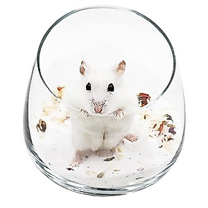 Dnoifne Small Animal Sand-Bath Box, Round Glass Small Pet Sand Bath Box, Sand Bath Shower Room and Sand Bath Container for Rats Hamsters Mice Lemming Gerbils Chinchilla Guinea Pig Hedgehog