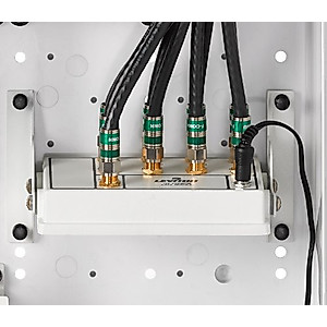 Leviton 47693-8P 1x8 Premium Amplified CATV Module , Gold