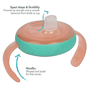 The First Years - Soft Spout Sippy Cup - Toddler Trainer Cup for 6+ Months -with Handles and Leak Proof Lid - 7 Oz - Floral Ladybug Print - 2 Count