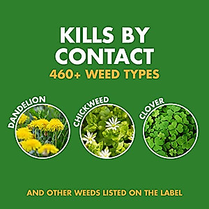 Spectracide Weed Stop For Lawns Concentrate2