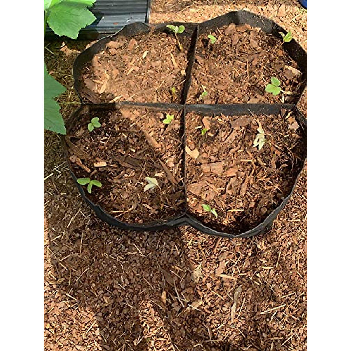 2 Pack Fabric Raised Garden Beds 2FT X 2FT 4 Holes Square Fabric Raised Planting Bed for Vegetables Outdoor and Indoor