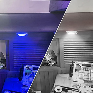 Partsam 1Pc 4 Inch Round LED Utility Dome Light Surface Mount for Home Truck RV Trailer Boat Aircraft Interior Light, 4" High Power White & Blue LED Downlight, 3-Way rocker switch(White/Off/Blue)