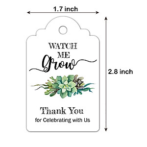 Watch Me Grow Tags for Baby Shower Succulents, Baby Shower Thank You Tags, Baby Shower Favor Tags, 1.7 x 2.8 Inch, 50 Pack with Golden Ribbon.