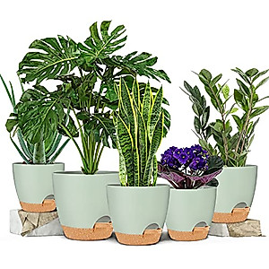 GARDIFE Plant Pots 7/6.5/6/5.5/5 Inch Self Watering Planters with Drainage Hole, Plastic Flower Pots, Planters for Indoor Plants, Succulents,Snake Plant, African Violet, Flowers,Green
