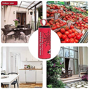 Dwcom 20 Packs Fly Tape, Fly Strips, Fly Paper Strips Roll Ribbon, Sticky Fly Traps Hanging Catcher Gnat Fungus Trap Killer for Indoors Outdoors