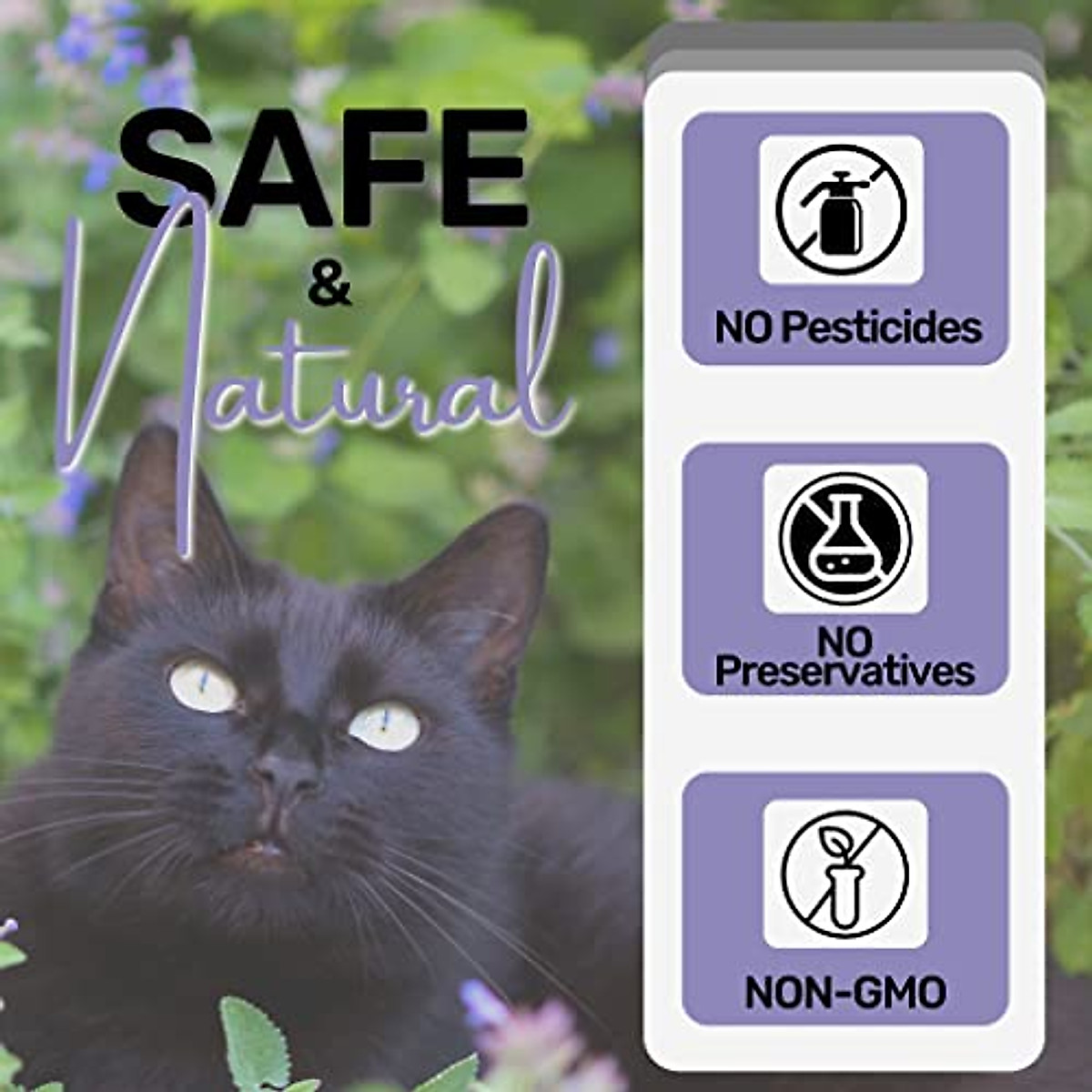 XanderPets Catnip Balls That Stick On Wall - Cat Nips Organic - Magic Cat Balls - Interactive Toys for Indoor Cats - Essential Cat Accessories - USA 3 Pack (Tabby Grey)