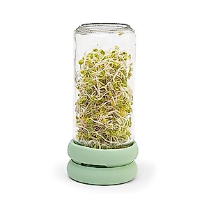 Sprout Huggers | Silicone Sprouting Lids | Fits Any Jar ||No Rust, No Mess | Sprouting Mason Jar Kit | Grow Sprouts Indoors| Food Huggers Urban Garden | Easy Germination Broccoli Alfalfa Bean Sprouts
