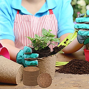 ZeeDix 100pcs (50mm) Coco Coir Pellets Organic Potting Soil for Planting Compressed Coco Coir Soil Coconut Soil Seed Starters for Indoors or Outdoors Bonsai Herbs Plants Flowers and Vegetables