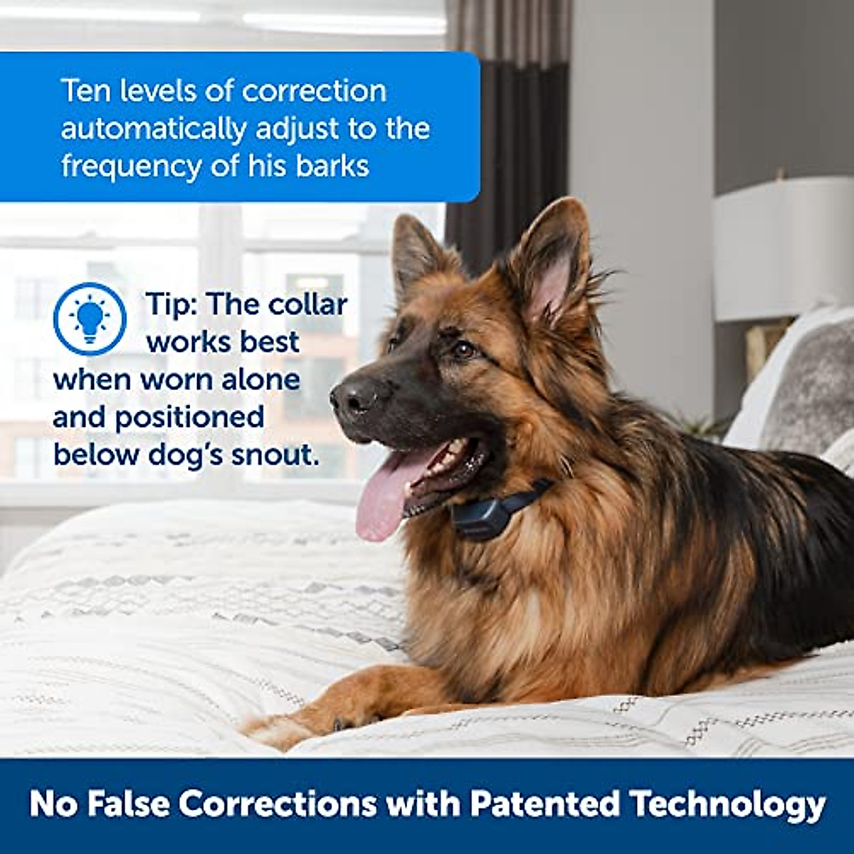 PetSafe Audible Bark Dog Collar, Humanely Stop Barking, Alternative to Static Shock No Bark Collar, 10 Levels of Safe Correction – for Small, Medium & Large Dogs Over 8 lb, Rechargeable & Waterproof