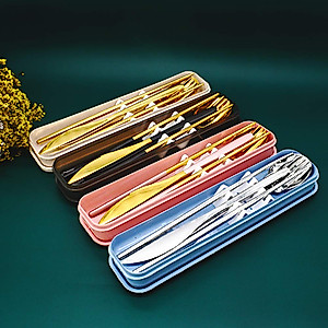 SITAKE 6 Pcs Portable Stainless Steel Flatware Set, Travel Reusable Utensils Set Cutlery Set Including Knife Fork Spoon Chopsticks Carry Case for School, Office, Camping, Picnic(Sliver)