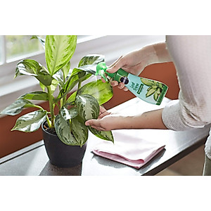 Miracle-Gro Leaf Shine, 8 oz., 2-Pack