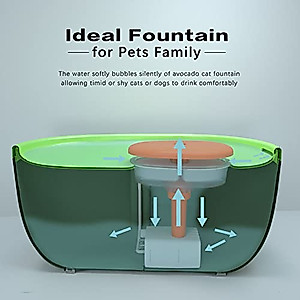 Avocado Cat Water Fountain, Awpland 67oz/2l Pet Water Fountain for Cats Inside, Bpa-Free, Ultra Quiet Automatic Dog Water Dispenser with Smart Fountain Pump for Cats, Dogs, Multiple Pets
