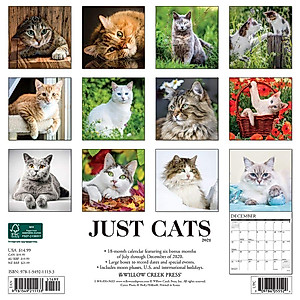Just Cats 2021 Wall Calendar