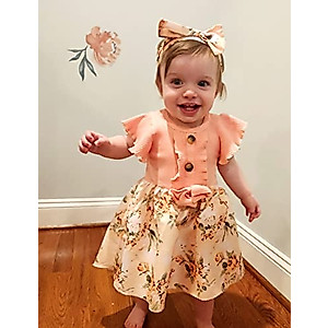 Newborn Baby Girl Dress Floral Ruffle Sleeve Casual Beach Sundress Princess Skirt Clothes Summer Outfits Dresses for Girls (Pink, 0-3 Months)