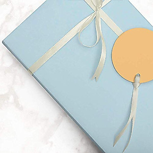 JAM Paper Gift Wrap - Matte Wrapping Paper - 50 Sq Ft Total - Matte Light Baby Blue/Pool Blue - 2 Rolls/Pack