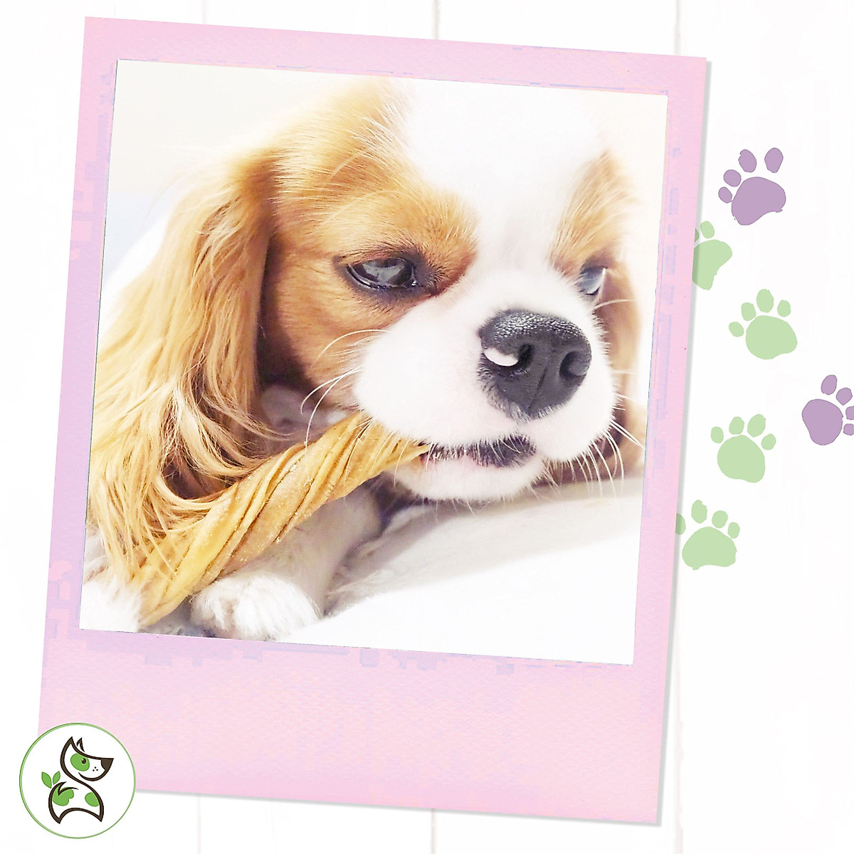 Nature Gnaws Tripe Twists for Dogs - Premium Natural Beef Sticks - Simple Single Ingredient Crunchy Dog Chew Treats - Rawhide Free - 4-5 Inch (8 oz)