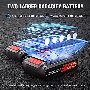 Dragro Electric Pruning Shears Professional Cordless Electric Pruning Battery Powered, Tree Branch Pruner with 2 PCS Rechargeable 2 Ah Lithium Battery - 30mm (1.2inch) Cutting Diameter