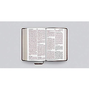 ESV Large Print Personal Size Bible (TruTone, Chestnut)