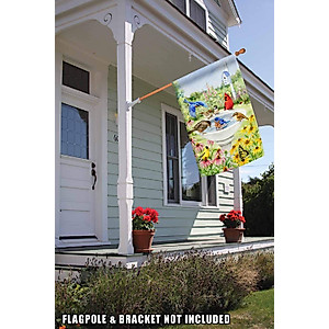 Toland Home Garden 109563 Birdy Dippin' Flower Flag 28x40 Inch Double Sided Flower Garden Flag for Outdoor House Bird Flag Yard Decoration