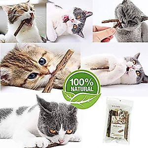 WoLover Silvervine Sticks for Cats, Natural Catnip Sticks Matatabi Chew Sticks Teeth Molar Chew Toys for Cat Kitten Kitty (at Least 12 PCS)