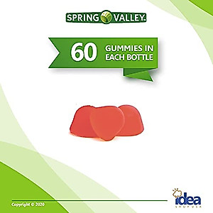 Zinc Adult Organic Vegetarian Gummy, Optimal Immune System Support, 22mg, 60ct Bundle With Exclusive "Vitamins & Minerals A To Z" - Better Idea Guide (2 Items)