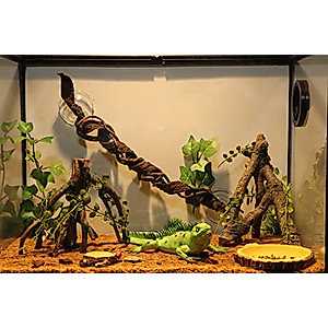AQUA KT Reptile Corner Climbing Branch with Plant Snake Climb Tree for Bearded Dragon Lizard Hermit Crab Crested Gecko Leopard Chameleon Frog Terrarium Habitat
