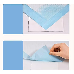 Generic Extra Large Dog Pee Pads 60 x 90cm 20 pad Count, Blue and White