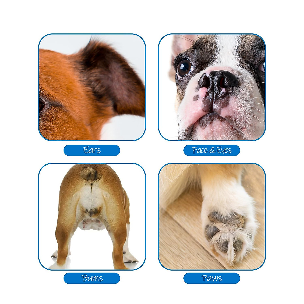 Mooncat Unscented Cat&Dog Wipes | Plant-Based Cat&Dog Grooming Supplies From Eye to Paw | Thick&Moist Cat&Dog Ear&Butt Cleaner | Allergy Relief | Deodorizing Dog Shampoo for Grooming Bath | 400 Counts