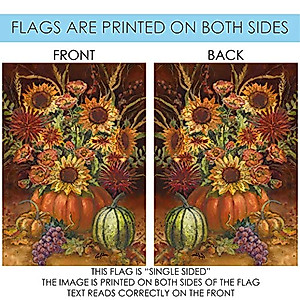 Toland Home Garden 102529 Fall Burst Fall Garden Flag 28x40 Inch Double Sided for Outdoor House Yard Decoration