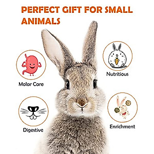 Sofier 12Pcs Timothy Hay Treats Rabbit Toys Bunny Toys Guinea Pig Toys Natural Chews for Teeth Handmade Rabbit Chews and Treats Chinchilla Rat Hamster Gerbil