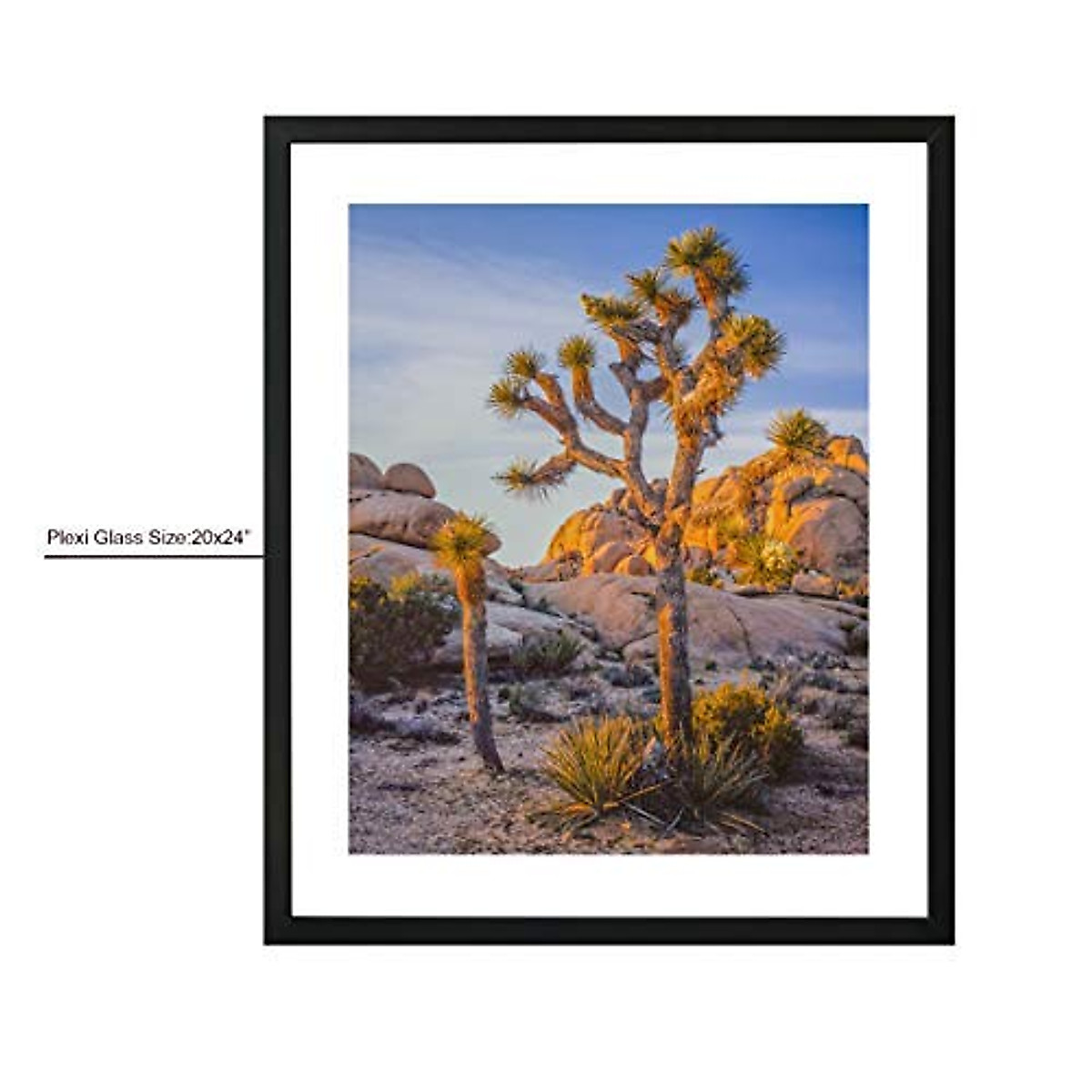 A PLUS MAX 20x24 Picture Frame, Black 20x24 Frame for 16X20 Photo (20x24 without Mat), Hangers for Horizontal or Vertical Display, Pack of 2